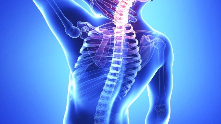 Neuromuscular diseases – types, symptoms and management strategies ...